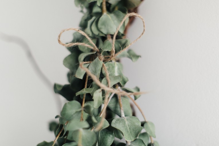 DIY: Natural Wall Decor – wild pieces