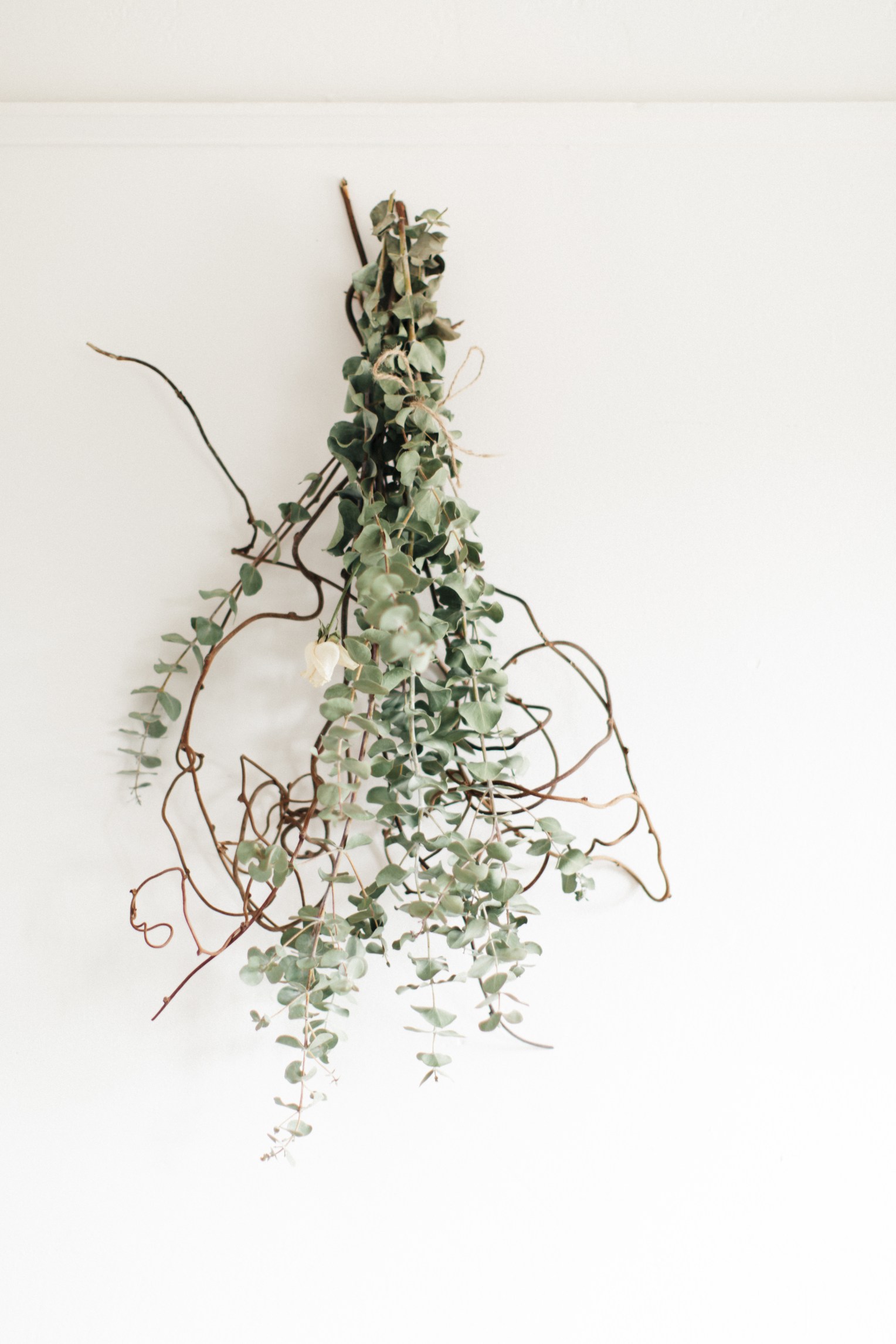 DIY: Natural Wall Decor – wild pieces