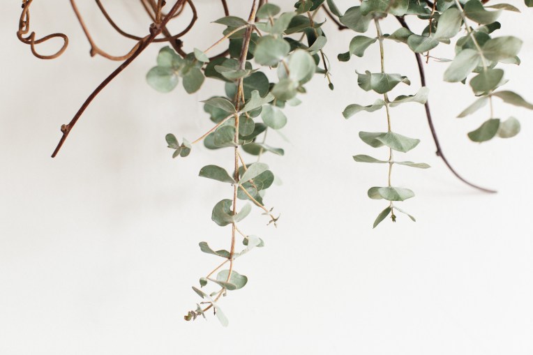 DIY: Natural Wall Decor – wild pieces